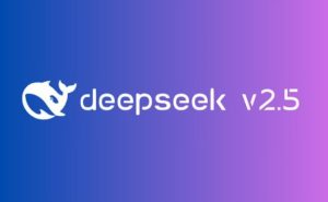 DeepSeek Coder 1,3B, 6,7B und 33B